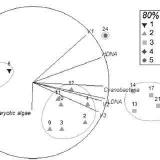 Multi dimensional scaling plot nMDS of log 10 xþ1 transformed Download Scientific Diagram