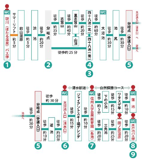 池巡りコース 夏の志賀高原ゴールデンラインの遊び方楽しみ方食事観光情報をガイド 志賀高原 中央エリア