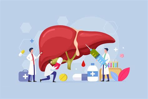 An Overview Of Liver Function Test Medy Life
