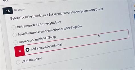 Solved Before It Can Be Translated A Eukaryotic Primary