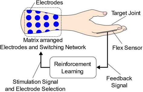 Fes System Conceptual Framework Download Scientific Diagram