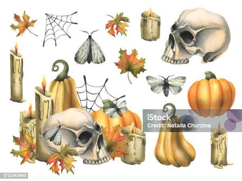 주황색 호박 양초 밤 나방 거미줄 단풍이 있는 인간의 두개골 할로윈과 죽은 자의 날을 위해 손으로 그린 수채화 삽화 흰색 배경에 격리된 요소 집합 10월에 대한 스톡 벡터