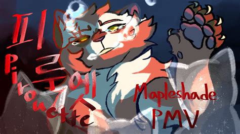 Warrior Cats Mapleshade Story