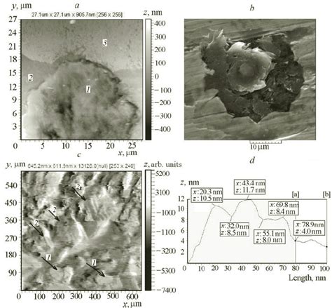 Microstructure Of The Graphite Particle Of The Initial Vchtg Specimen