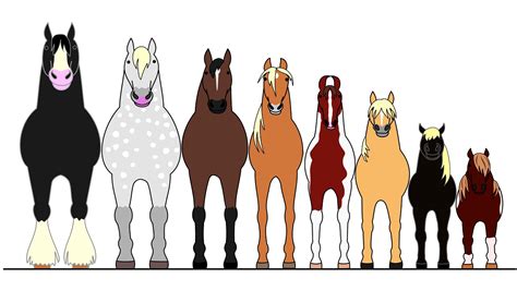 Miniature Horse Size Chart What Is A Miniature Horse Origin Size