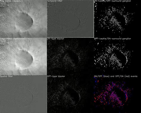 A Snapshot Of The State Of Each Layer And The Combination Of Onoff And Download Scientific