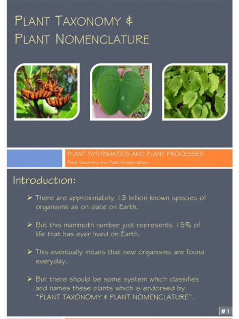 Plant Taxonomy Pdf Plant Taxonomy Taxonomy Biology