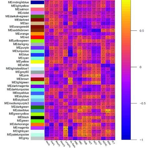 Module Trait Relationships Between Co Expression Modules And