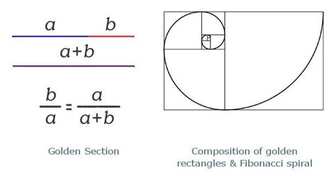 Fibonacci Spiral And The Golden Ratio Mathematical Equation