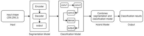 Tssg Cnn A Tuberculosis Semantic Segmentation Guided Model For Detecting And Diagnosis Using