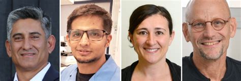 Leaf Development And Morphogenesis Development The Company Of