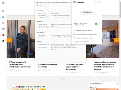 belkagomel by · issue 1672 · adguardteam corelibs · github