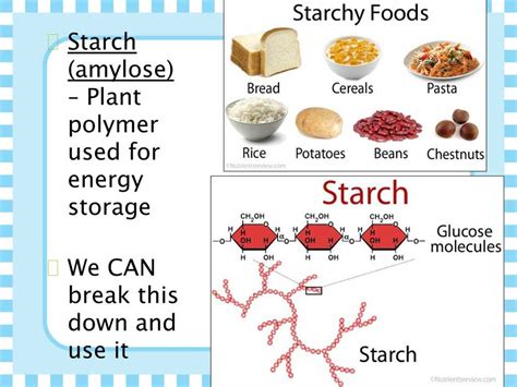 Understanding The Importance Of Biochemical Tests For Food Macromolecules