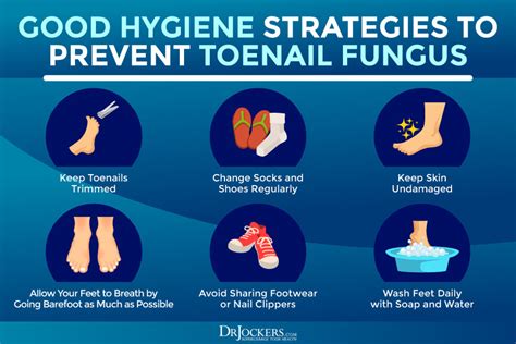 Toenail Fungus Symptoms Causes And Support Strategies
