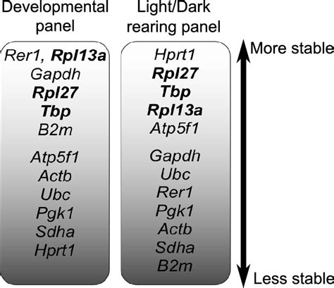 Of Gene Stability Ranking The 2 Columns Illustrate Gene Stability Download Scientific Diagram