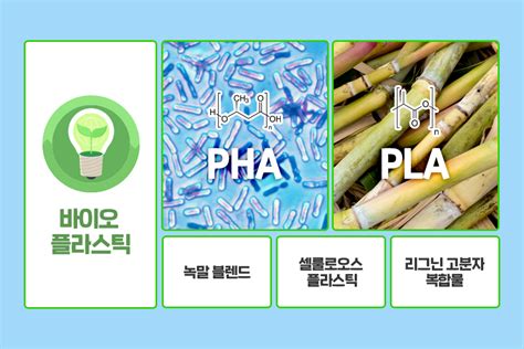 [월간화학] 생분해성 플라스틱 시대의 도래 2