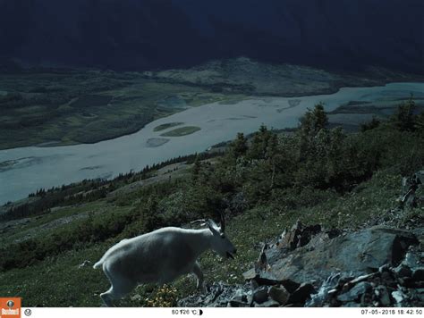 One Of The Only Quality Photos We Captured In Kluane National Park