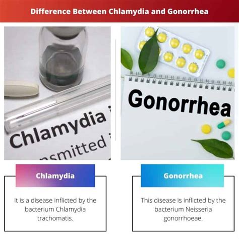 Gonorrhea Vs Chlamydia At Frank Hamlin Blog