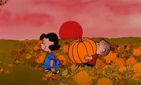 Great Pumpkin Charlie Brown Will Not Air On Network Tv