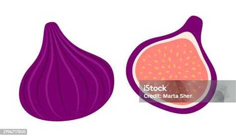 무화과 세트 절반과 전체 이국적인 과일 유기농 비타민과 건강한 영양의 집합 흰색 배경에 고립 된 평면 벡터 일러스트 레이 션 무화과 나무에 대한 스톡 벡터 아트 및 기타