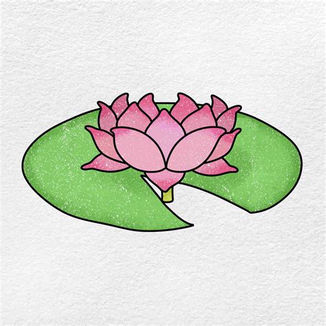How To Draw A Lily Pad Flower Step By Step