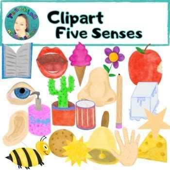Five Senses Clipart Clip Art Center Game Etsy