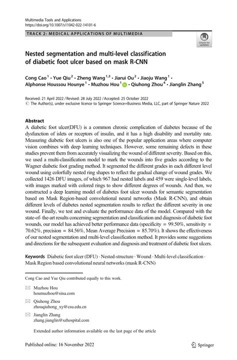 Pdf Nested Segmentation And Multi Level Classification Of Diabetic Foot Ulcer Based On Mask R Cnn