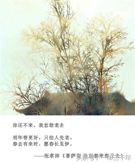 你讀過最美的詩句是什麼 每日頭條