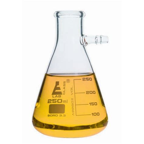 Buy Flask Filtering 250ml Conical With Integral Glass Side Arm Online Science Equipment