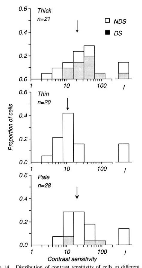 Figure 14 From Receptive Fields And Functional Architecture Of Macaque