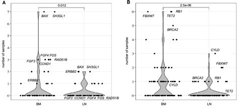 Number Of Disseminated Tumor Cells With Copy Number Alterations In Download Scientific Diagram