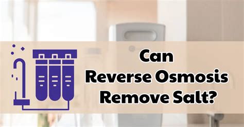 Can You Reverse Osmosis Salt Water At Joshua Mabon Blog