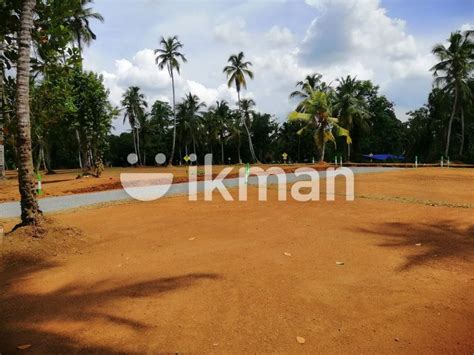 බණ්ඩාරගම නේවාසික බිම්කොටස් Ikman