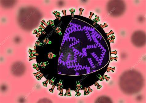 Virus Particle Illustration Stock Image C058 4254 Science Photo
