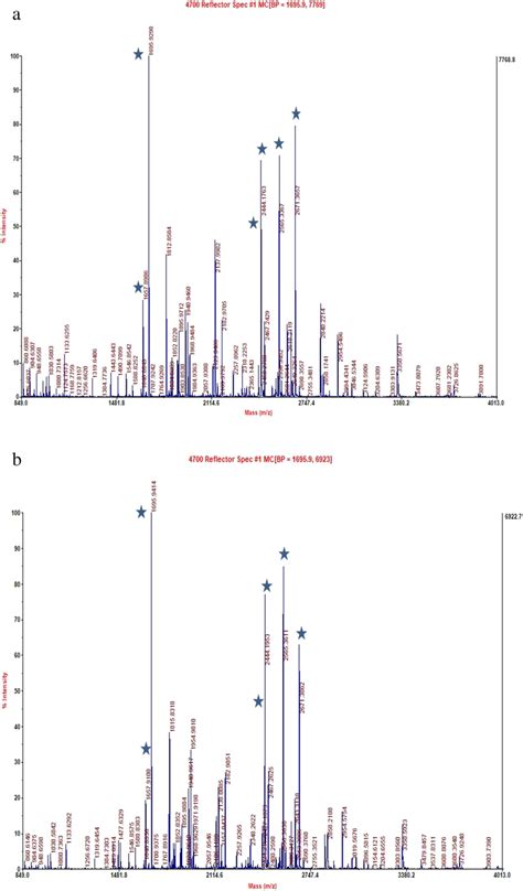 Maldi Ms Of The “in Gel” Trypsin Digested Peptide “2” And Peptide “ii” Download Scientific
