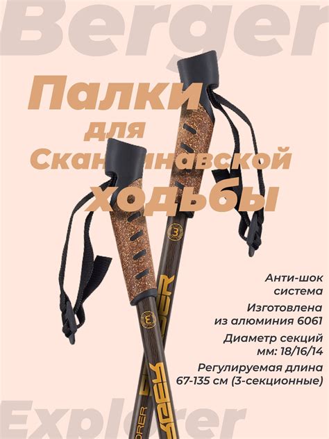 Наконечники для Скандинавских Палок – купить в интернет-магазине OZON ...