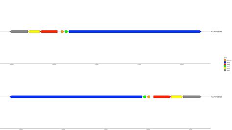 Ggplot2 Calculate The Direction Of Gggenes Data In R Stack Overflow