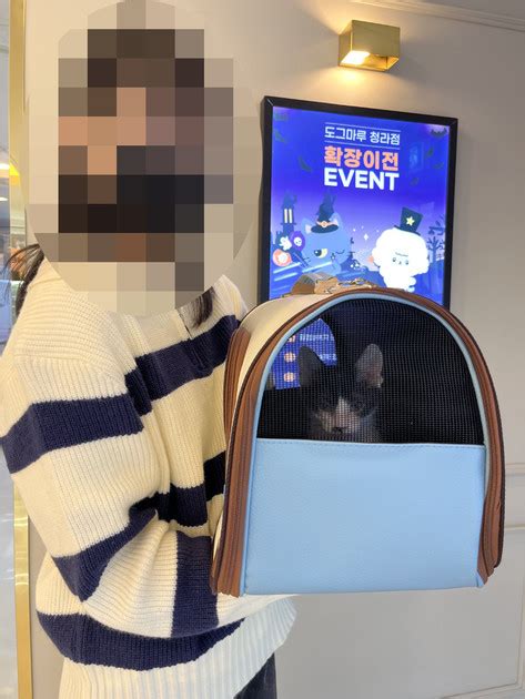 코리안숏헤어 반점 엑조틱크기 터키시앙고라크기 페르시안크기 하이랜드폴드크기 애완견크기 반려견크기 소형견무료입양사이트 중형견무료입양