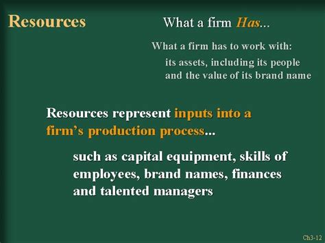 Chapter 3 The Internal Environment Resources Capabilities And