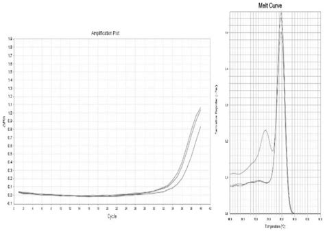 Circular Rna Detection Method And Kit Eureka Patsnap