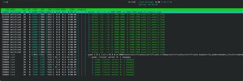 Puma 436 Rails 6034 Tls Brings In Memory Leak · Issue 2425 · Pumapuma · Github