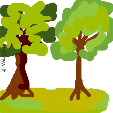 How To Draw Trees Xu3iqd6ij Png LetsDrawIt