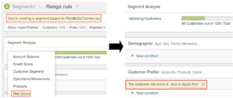 Segmentation Prisma Campaigns User Manual