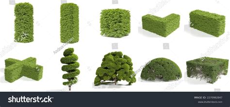 3d Rendering Set Ornamental Garden Shrub Stock Illustration 2270982847
