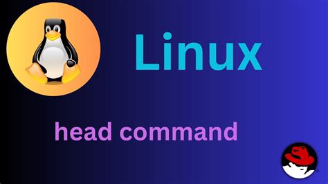1450 Basic Linux Commands Head Command Explained Shortsvideo Linux