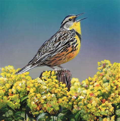 State Bird Oregon Poster Print Kevin Daniel Posterazzi