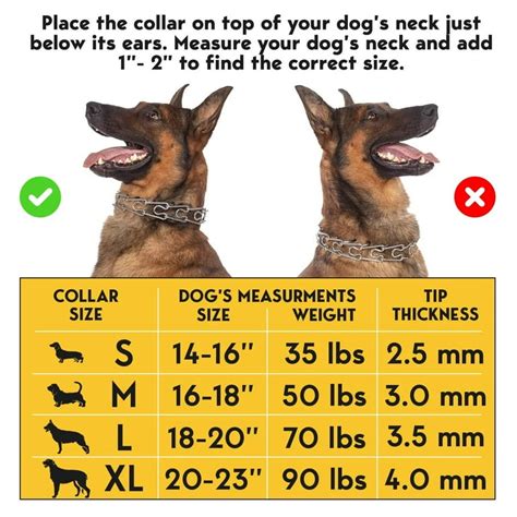 Prong Collar Sizing Chart At Sally Patrick Blog
