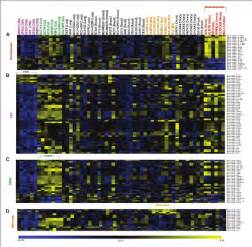 Microrna Expression Signatures Of Cell Lines Derived From Specific Download Scientific Diagram