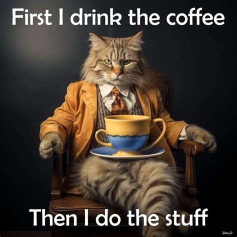 Funny Cat Meme Coffee Time