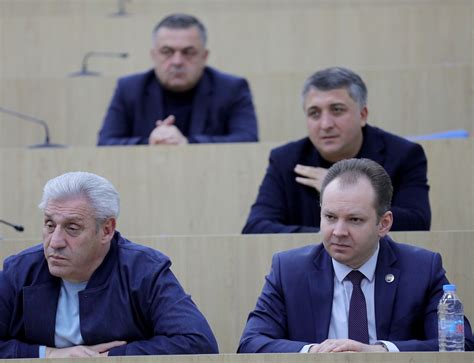 ქართული ოცნება Georgian Dream პოლიტიკური გაერთიანება ქართული ოცნება დემოკრატიული